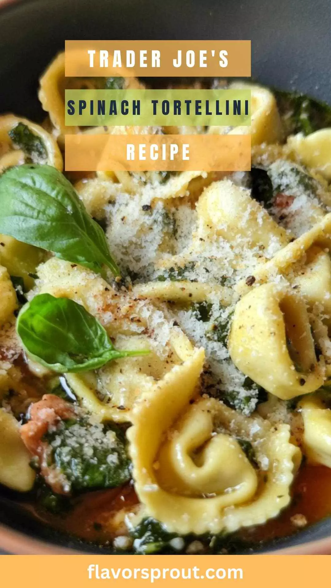 Trader Joe's Spinach Tortellini Recipe – Flavor Sprout