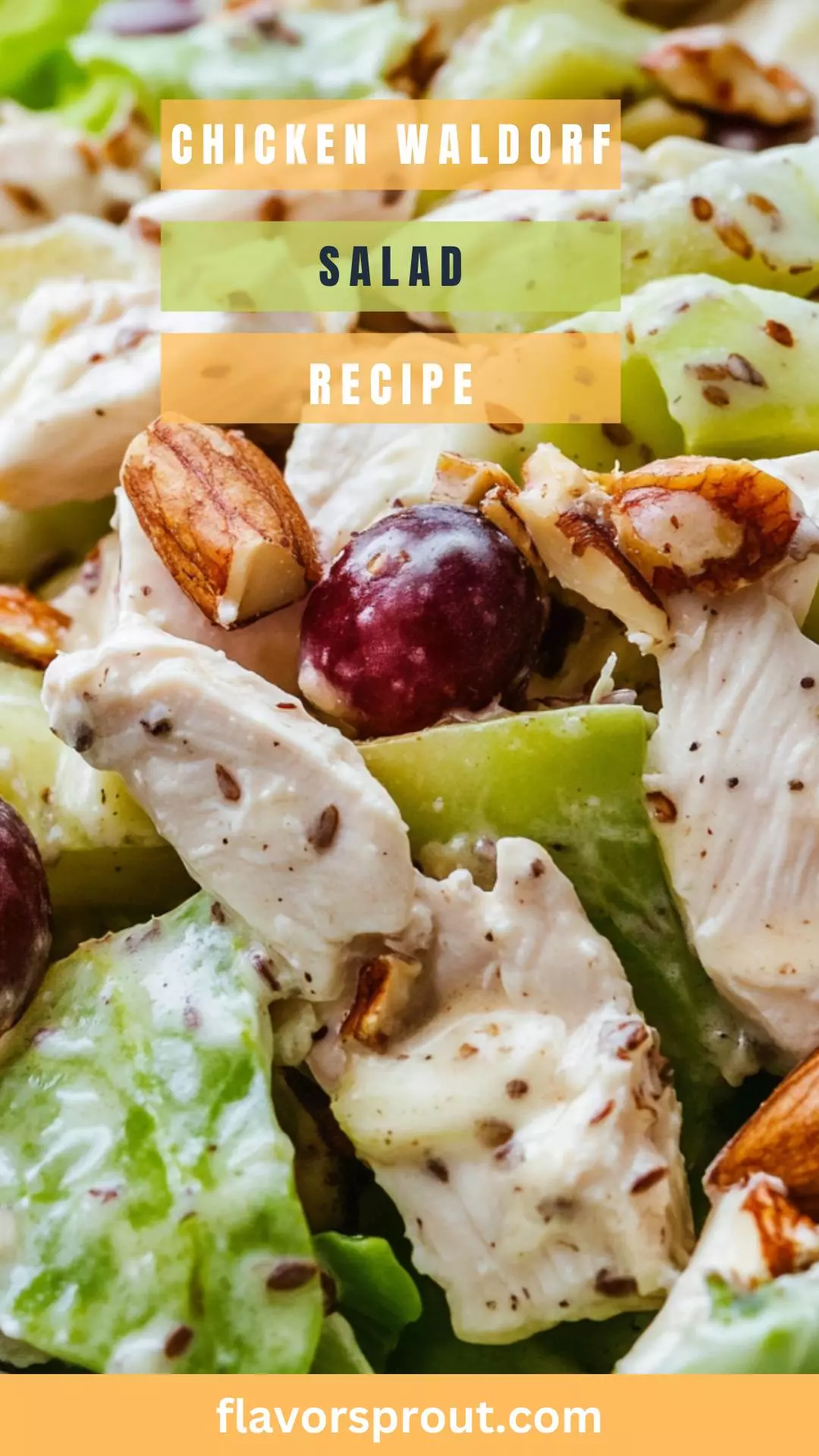 Chicken Waldorf Salad Recipe – Flavor Sprout