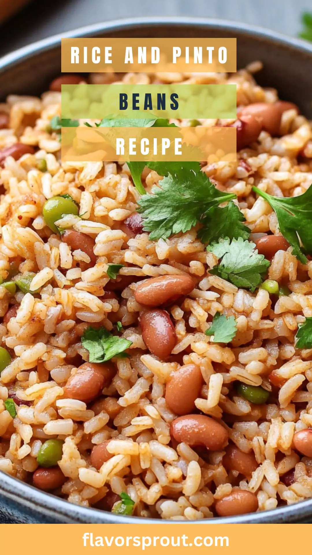 Rice And Pinto Beans Recipe – Flavor Sprout
